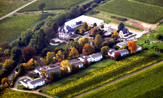Pfarrei St. Peter und Paul Rheingau: Bethanien Kinderdorf