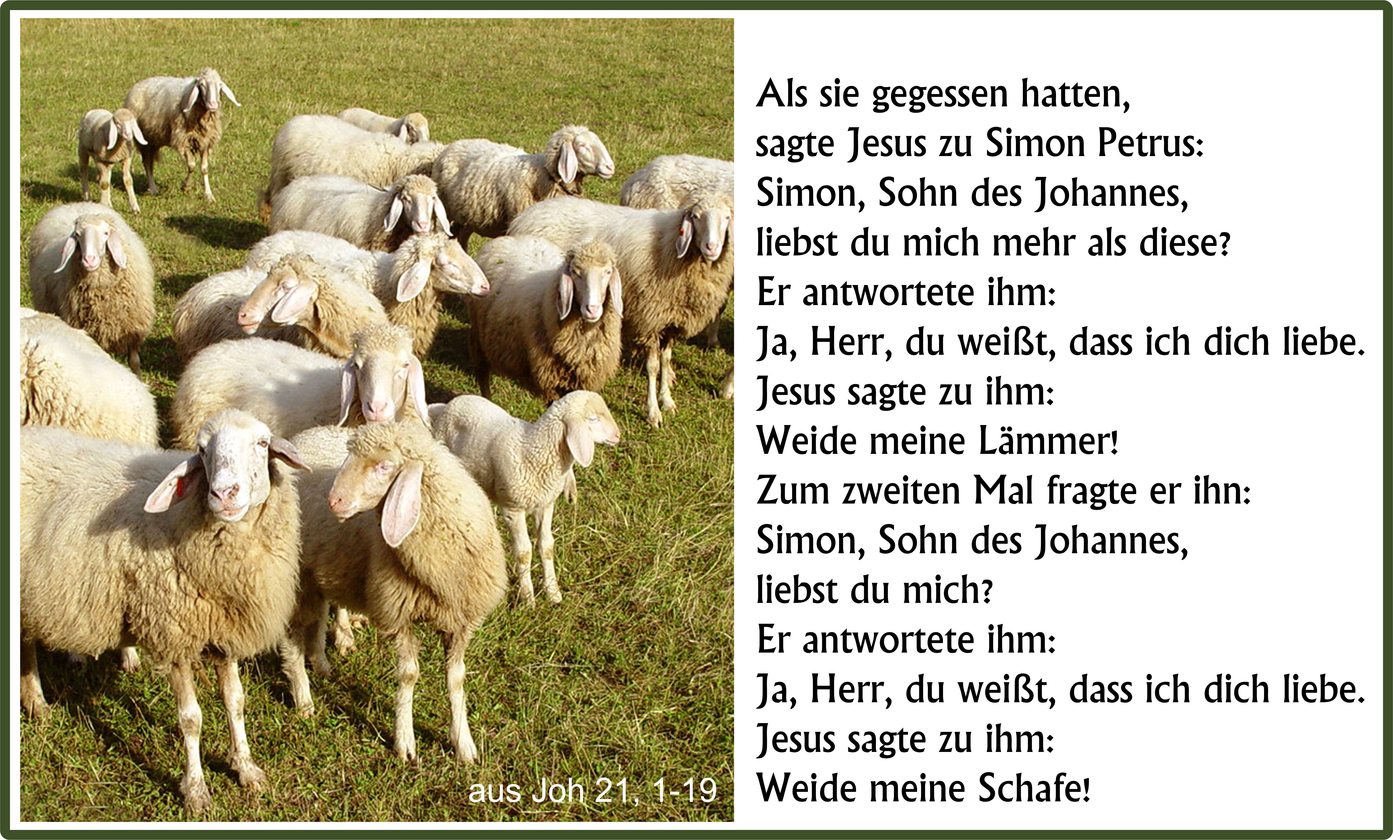 Pfarrei St. Peter und Paul Rheingau: "Die Begegnung am See - oder ...